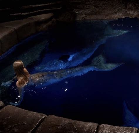 Pin By Jessica Carten On Mako Mermaids Mermaid Photography Mako Mermaids H2o Mermaids