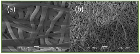 SEM Images Of SiO Nanofibers A And B Depicting The Uniform And Download Scientific Diagram