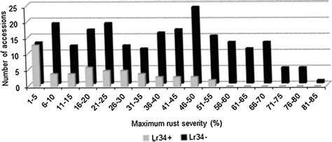 Frequency Distribution Of Accessions Plotted Against Maximum Rust