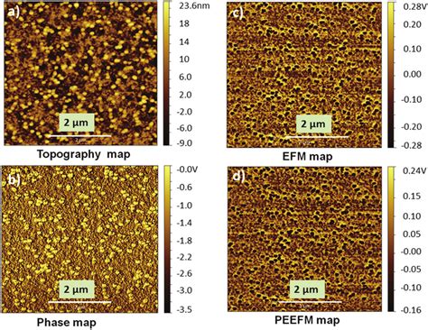 A Afm Surface Topography B Afm Phase Image C Efm Electrostatic