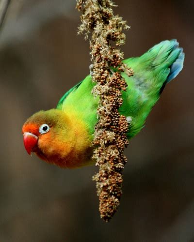 Thomas Strobel Flickr