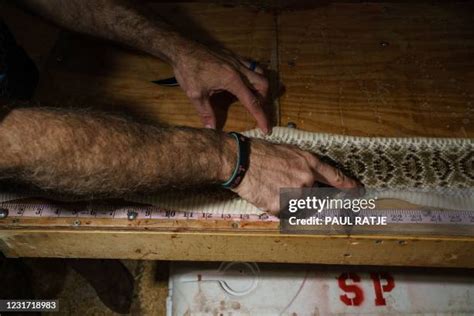 Fishing Rid Photos And Premium High Res Pictures Getty Images