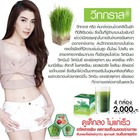 เดอะซีเคร็ท วีทกราส คลอโรฟิลล์ The Secret Wheatgrass Chlorophyll