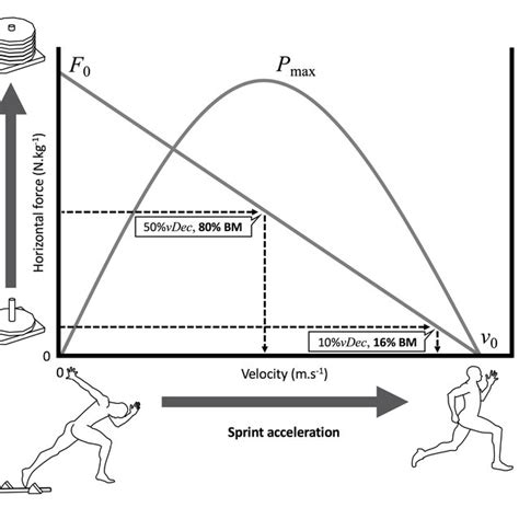 Pdf A Comparison Between The Force Velocity Relationships Of Unloaded And Sled Resisted