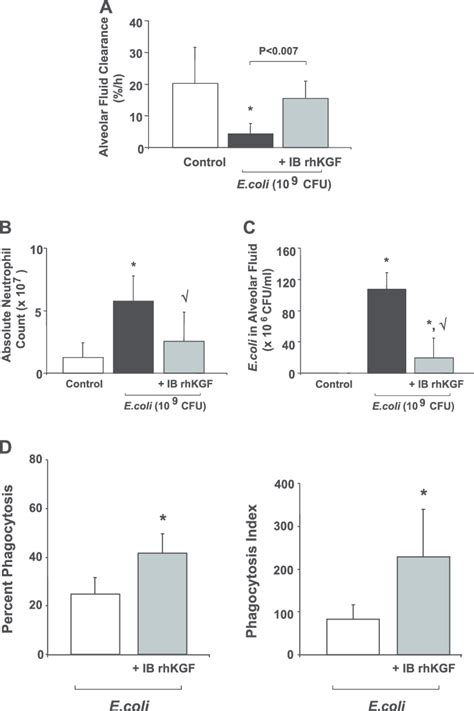 Effect Of Recombinant Human Keratinocyte Growth Factor Kgf On Download Scientific Diagram
