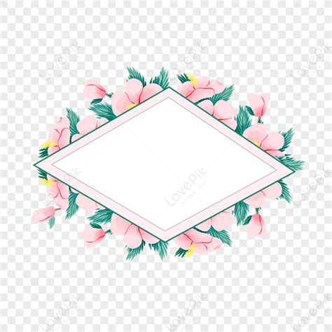 마름모 히비스커스 꽃 일러스트 테두리 무궁화분홍식물 Png 일러스트 무료 다운로드 Lovepik