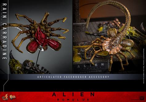 Hot Toys Debuts Alien Romulus Rain Carradine 16th Scale Figure