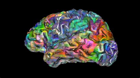 Sexuality And The Brain Your Brain On Porn Articles