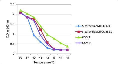 High Temperature Yeast Strains For Brewing A Full Guide