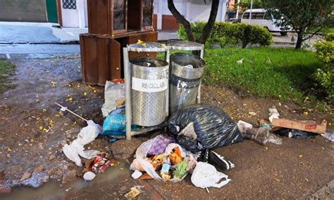 Las Basuras Una Problemática Social En Aumento 10 Acciones Para
