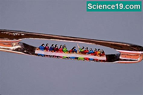 Mikroskopla Hücreler Nasıl Sayılır 💫 Bilimsel Ve Popüler Multimedya