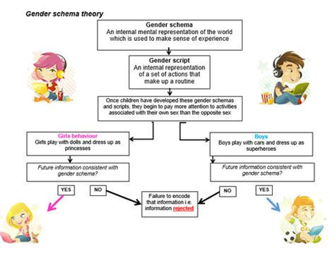 Cognitive Explanations For Gender Development The Gender Schema And