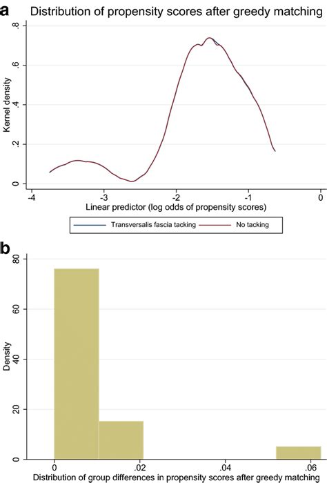 Post Matching Diagnostics A Distribution Of Propensity Scores After