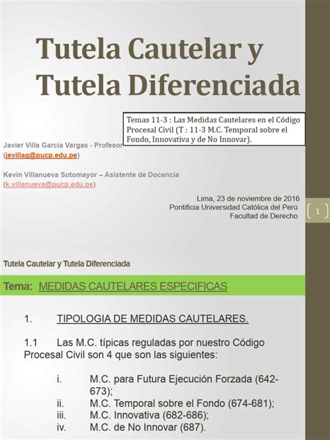 113 Tutela Cautelar Y Diferenciada Ppt Tema 11 3 Demas Medidas