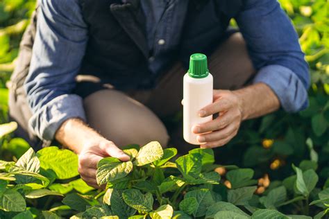 Produits Phytosanitaires 5 éléments Essentiels à Connaître