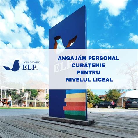 Liceul Teoretic Elf Angajează Personal Curățenie Elf Ro