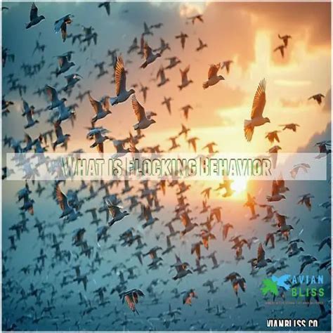 Bird Flocking Behavior Natures Secret Code To Survival Revealed