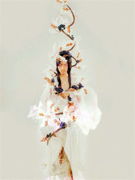 摄影师眼中的建木神树！仙气围绕犹如神话再现！