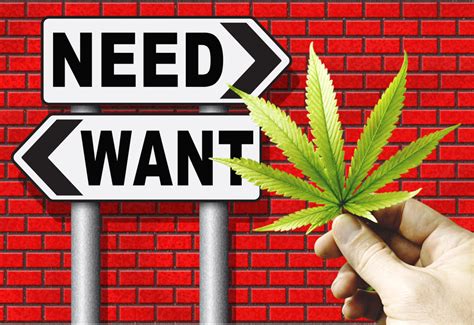 Science Discovers Cannabis Tolerance Levels New Study Says Frequency