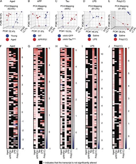 Translational Ribosomal Profiling Of Microglial Transcriptomes Reveals Download Scientific