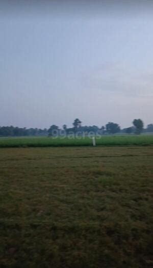 Plots For Sale In Islampur Nalanda Residential Land Plots In Islampur Nalanda