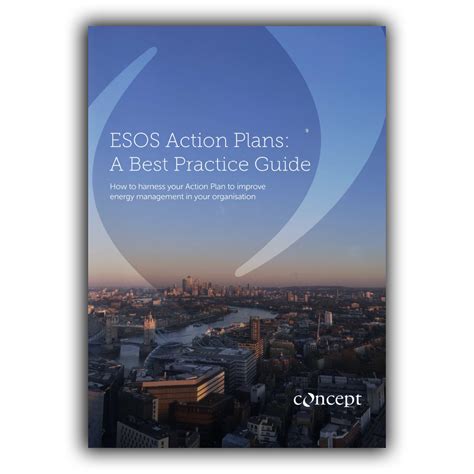 Esos Action Plan Best Practice Guide Example Download Now