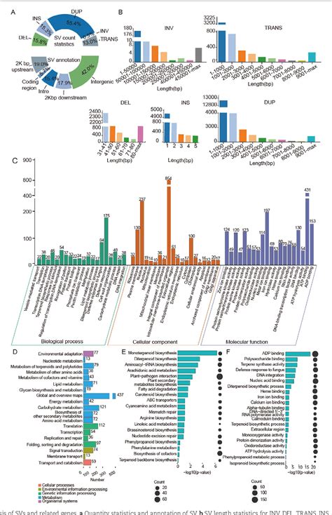Figure 3 From A Haplotype Resolved Gap Free Genome Assembly Provides
