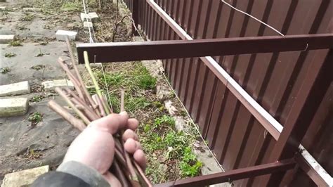 F образная опора к забору для винограда, ежевики, лимонника и не только ...