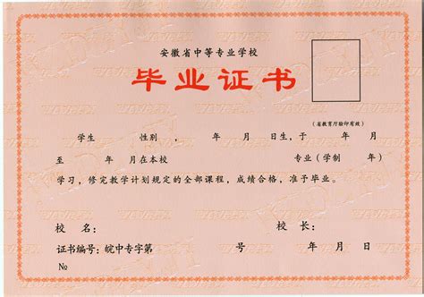 高中毕业证怎么查