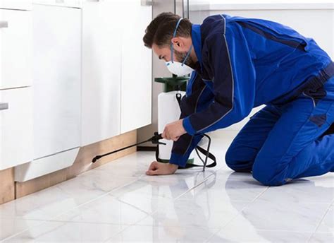 When Is Pest Control Necessary
