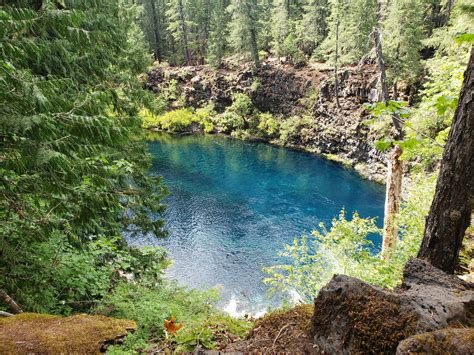 Tamolitch Falls Blue Pool Willamette National Forest 🌲 Scrolller