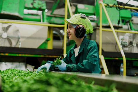 Bonduelle Recrutement Chargé De La Prévention Sécurité Emploi Et