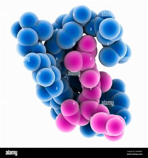 Vancomycin Molecule Complexed With Bacterial Peptidoglycan Computer