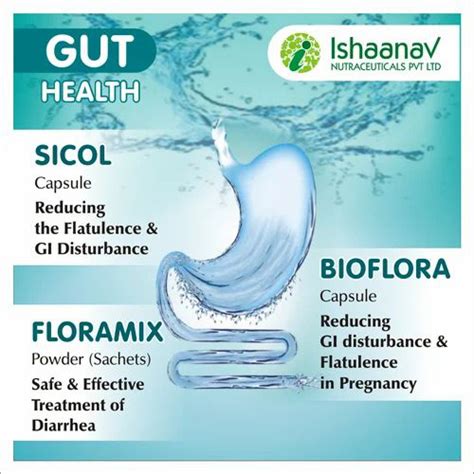 Nutraceutical For Gut Health Specific Drug At Best Price In Dehradun