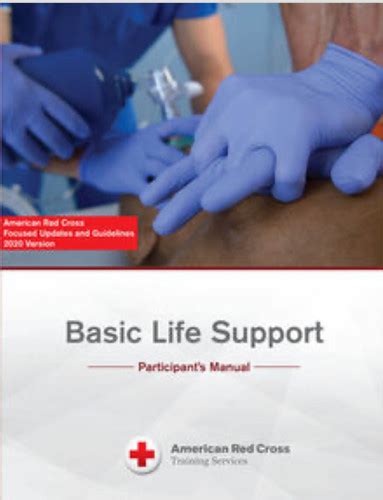 Basic Life Support Participant Manual American Red Cross Health And