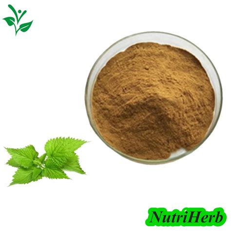 Nutriherb Supply Natural 100 Stinging Nettle Extract Nettle Extract Powder Stinging Nettle