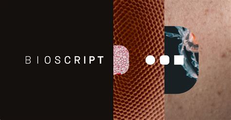 Careers At Bioscript Group Medical Communications Jobs