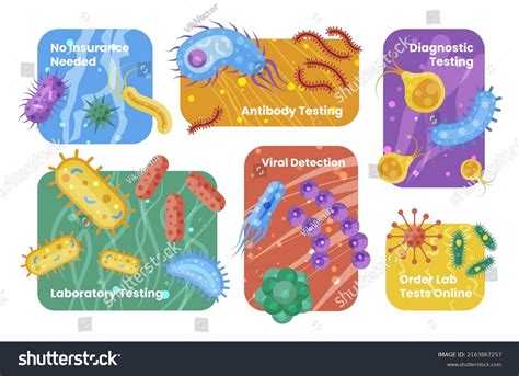 Collection Multicolored Laboratory Testing Poster Probiotic Stock