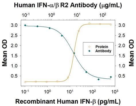 Human Ifn Alpha Beta R2 Antibody Mab4015 100 Randd Systems