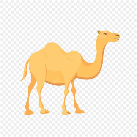 Desert Camel Vector Design Images Camel Vector Desert Safari Vector Free Png Download Camel