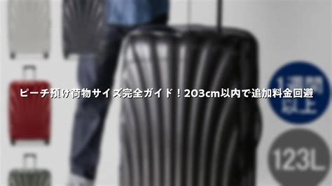 ピーチ預け荷物サイズ完全ガイド！203cm以内で追加料金回避 トラベルバッグガイド