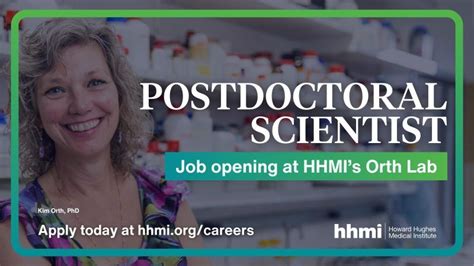 Hiring Opportunity Postdoc Labjobs Researchjobs Workathhmi Romy Wichmann Phd