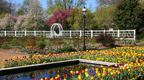 5 Reasons To Explore The Missouri Botanical Garden