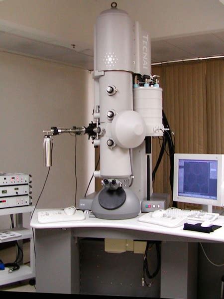 Cryo Electron Microscopy Sciencesprings
