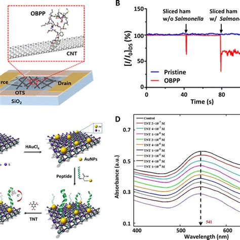 Peptide Based Biosensors A Schematic Diagram Of Olfactory Biosensors Download Scientific