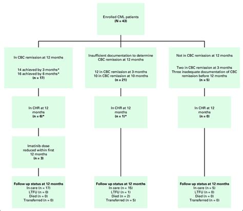 Outcomes At 12 Months Of Follow Up Chr Complete Hematologic