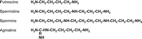 Aliphatic Polyamines In Physiology And Diseases Clinical Nutrition