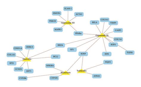 compound target networks and active compound structures in gp the