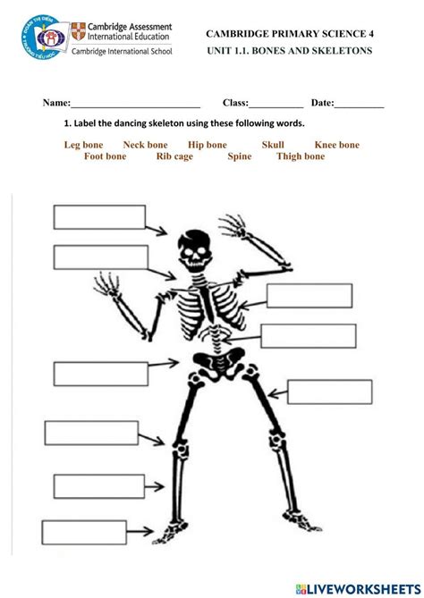 Review Unit 1 Cps4 Online Exercise For Live Worksheets
