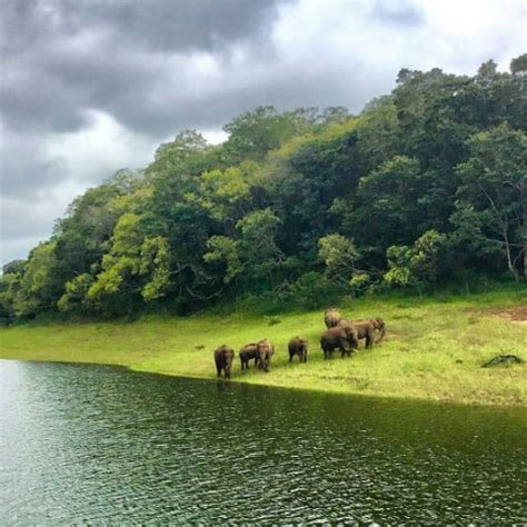 Top 10 National Parks To Explore In South India
